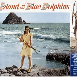 1964-Island of Blue Dolphins-poster.jpg | Home Theater Forum