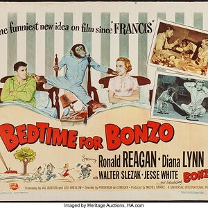 1951-Bedtime for Bonzo-poster.jpg | Home Theater Forum