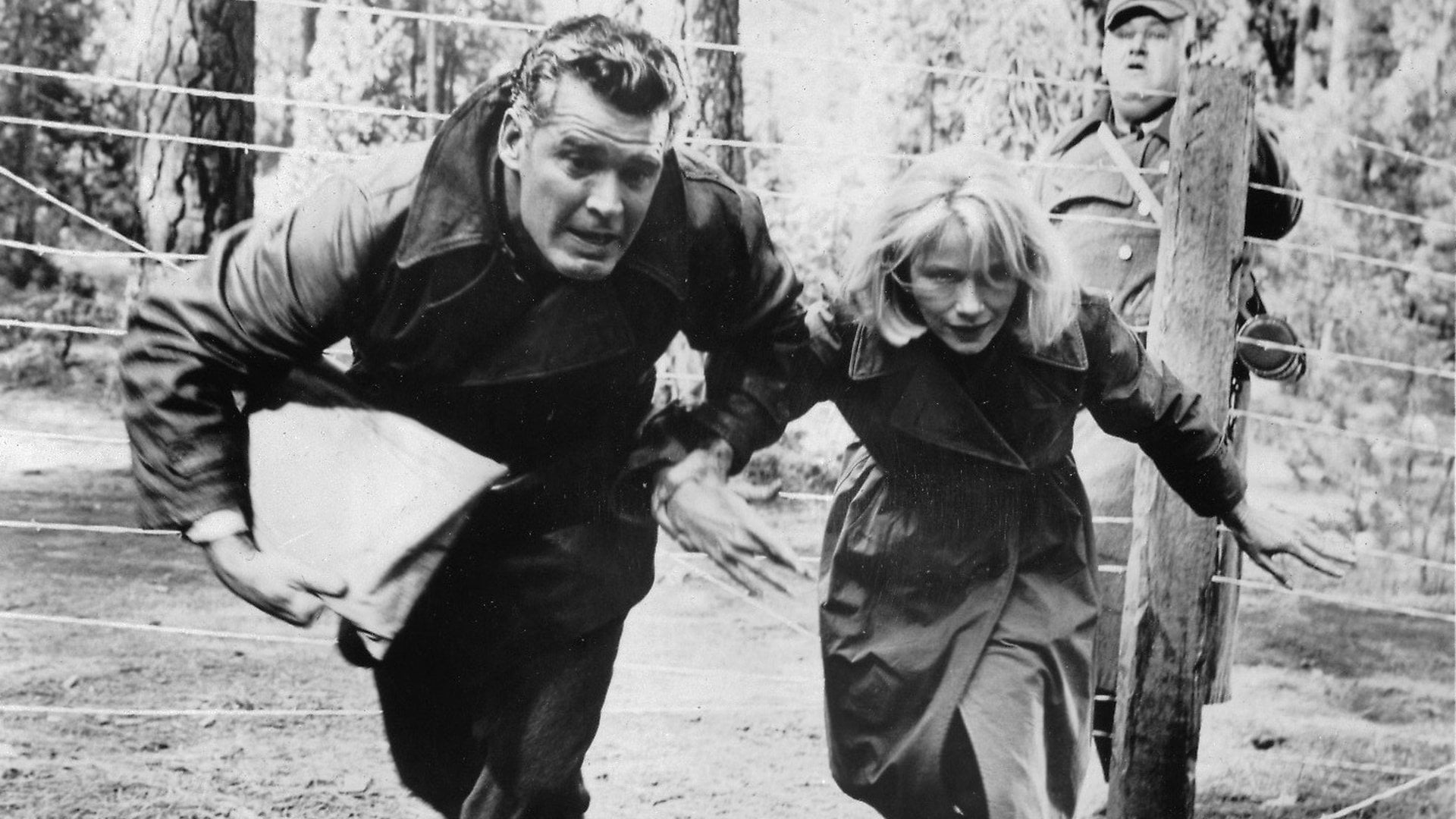 36 Hours Blu-ray Review • Home Theater Forum