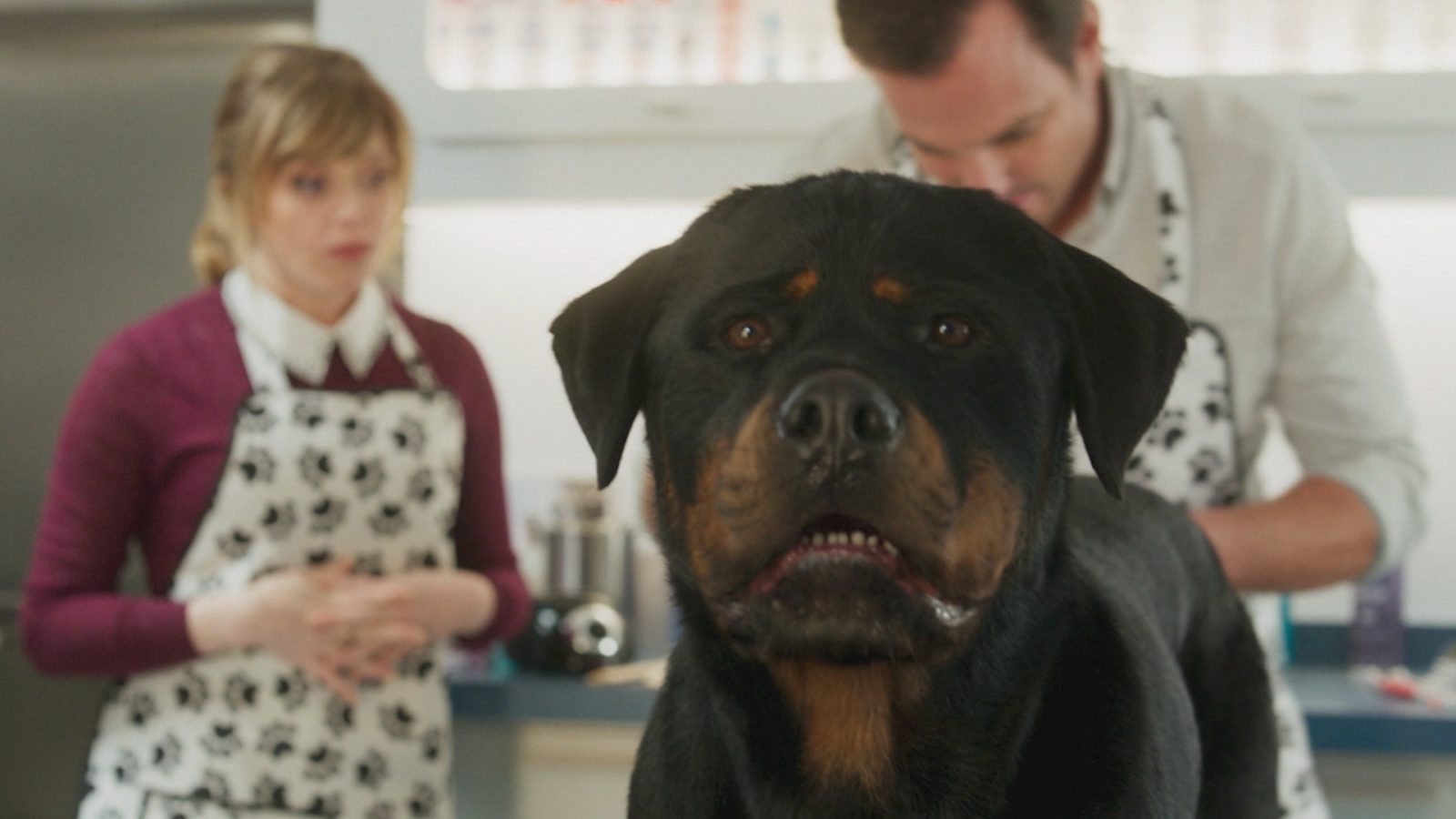 Show Dogs Blu-ray Review • Home Theater Forum