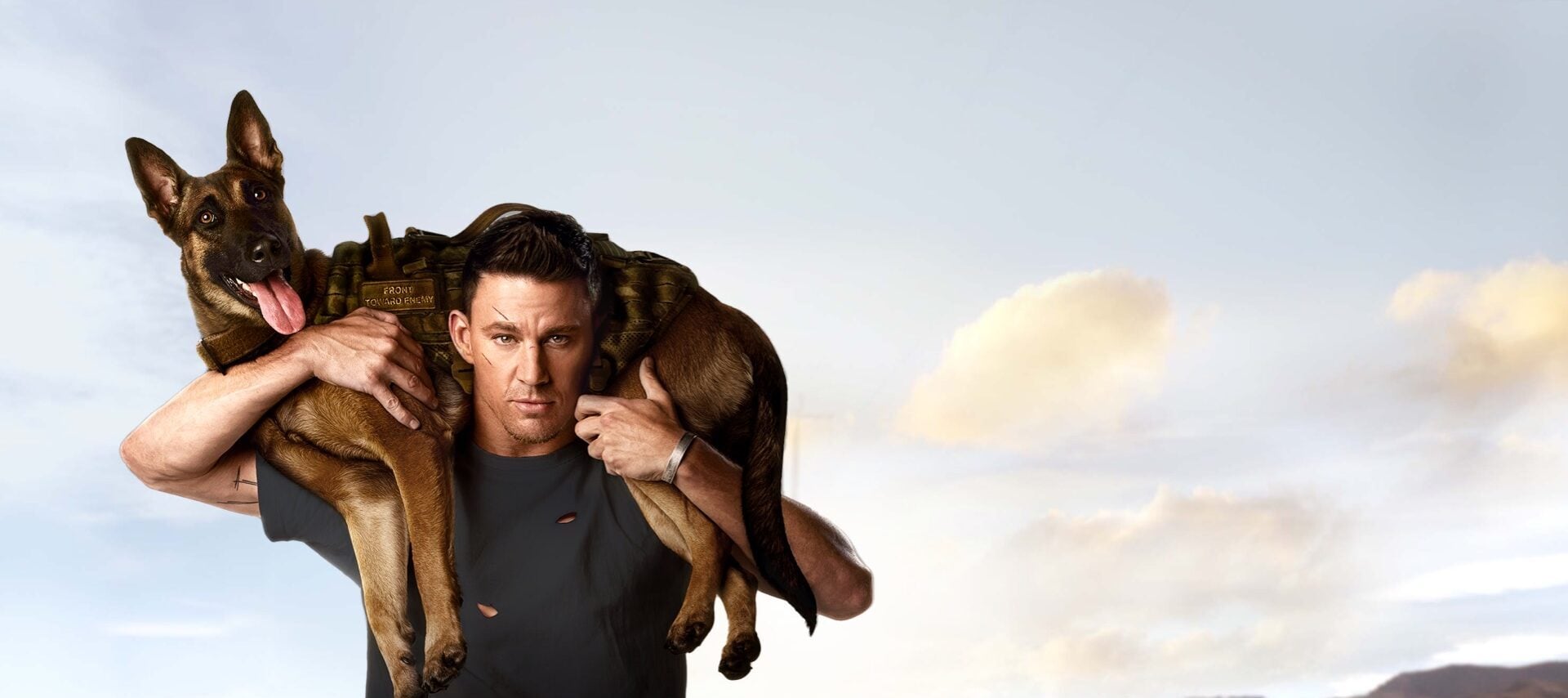 Dog Blu-ray Review • Home Theater Forum