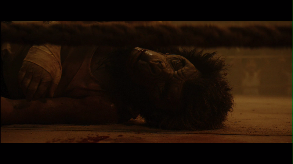 Monkey Man 4K UHD/Blu-ray Collector's Edition • Home Theater Forum